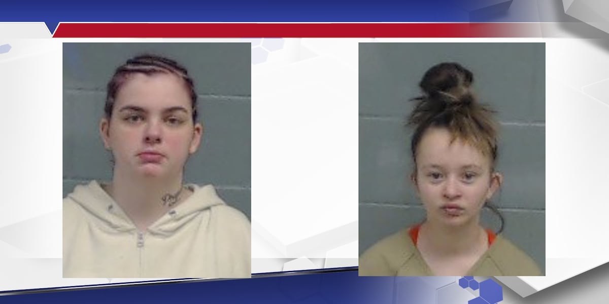 Three Arrested On Burglary And Grand Theft three-arrested-on-burglary-and-grand-theft
