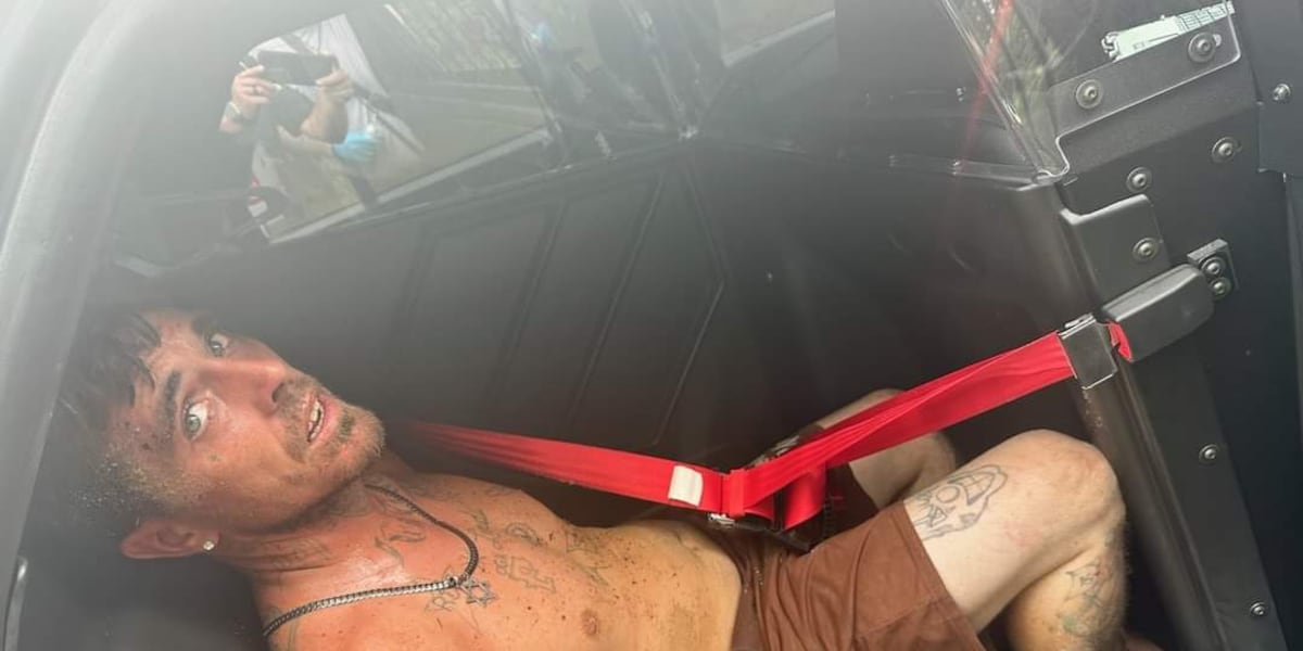 Man arrested after crashing stolen vehicle and fleeing police Man arrested after crashing stolen vehicle and fleeing police